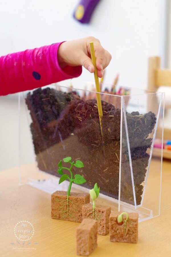 Spring Science Ideas for Kids - Kreative in Kinder