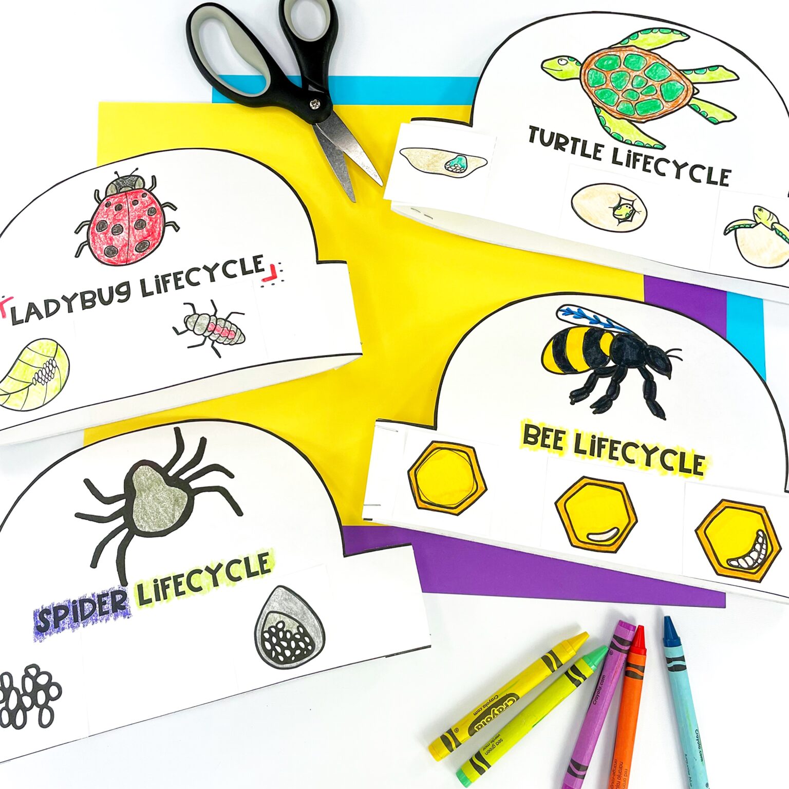 Creating Learning Opportunities with Hats - Kreative in Kinder
