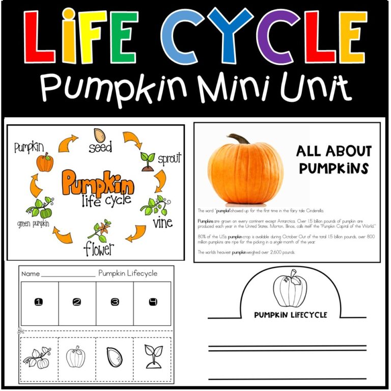Pumpkin Activities and Crafts in Kindergarten - Kreative in Kinder
